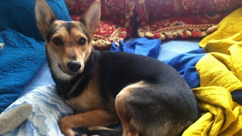 Petition · Joe Petrick, GREEN MOUNTAIN COLLEGE: Allow disabled students ...